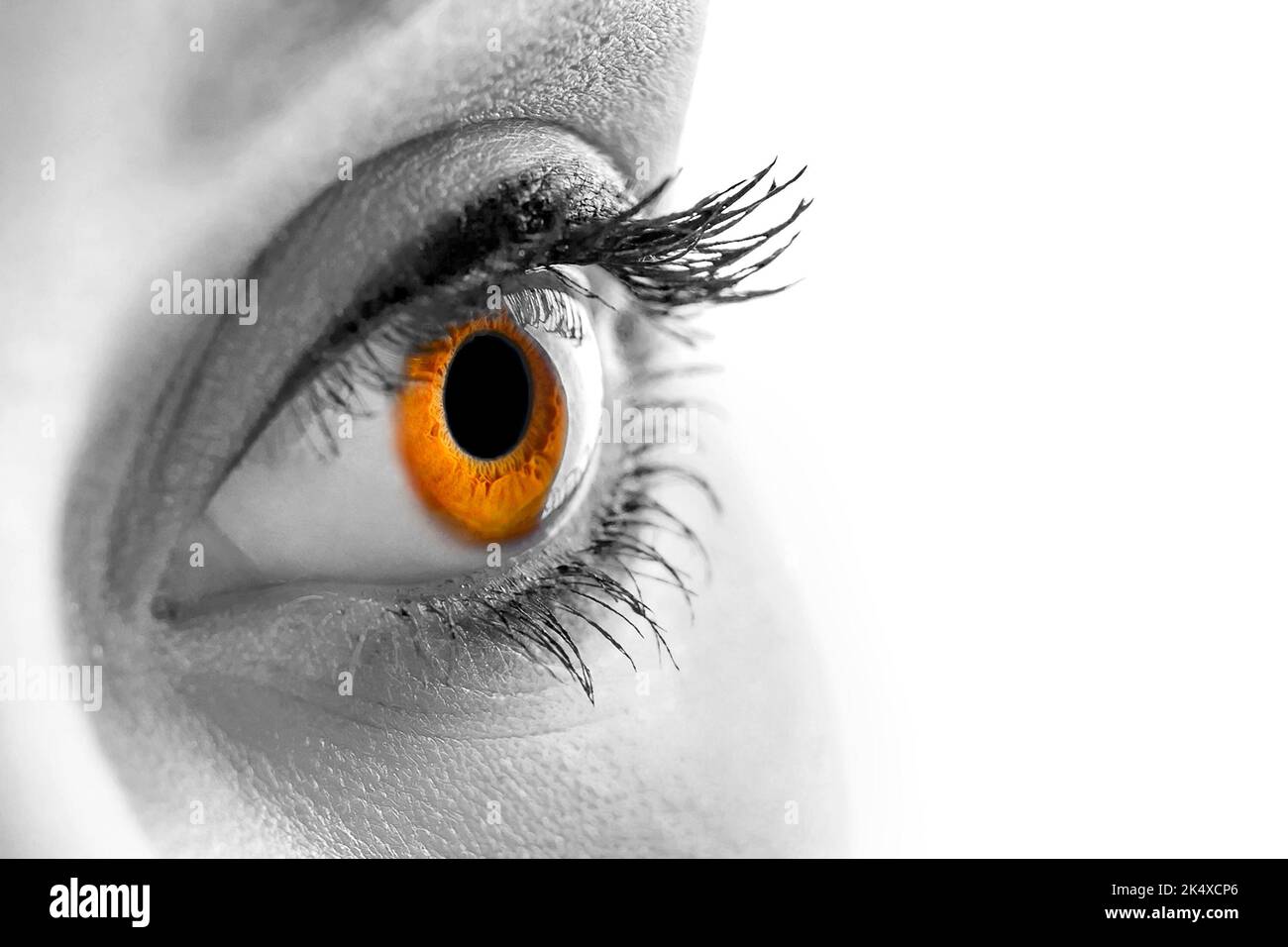 A selective color of a female eye - great for optometry clinic and ...