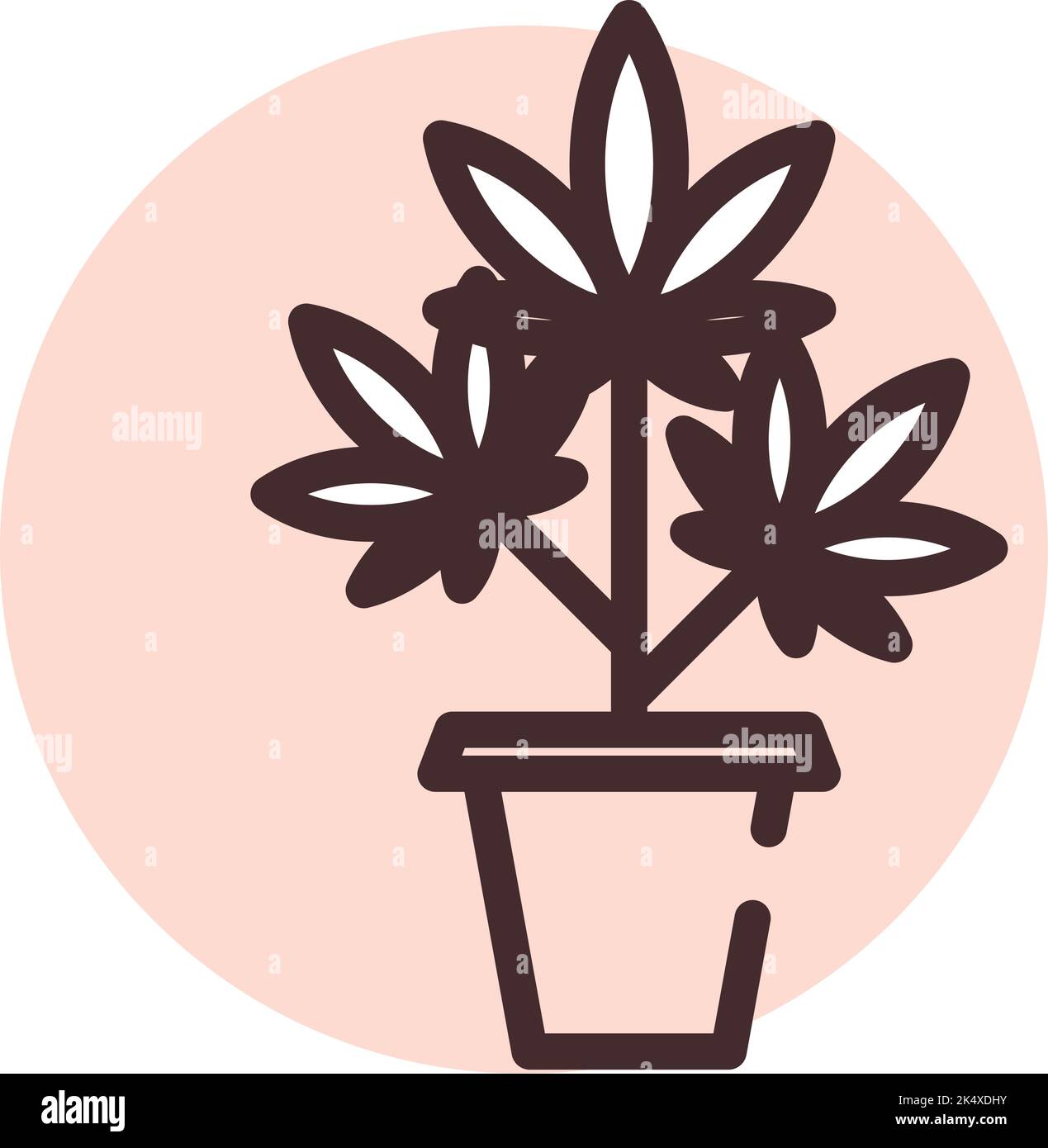 Marihuana in a pot, illustration, vector on a white background Stock ...