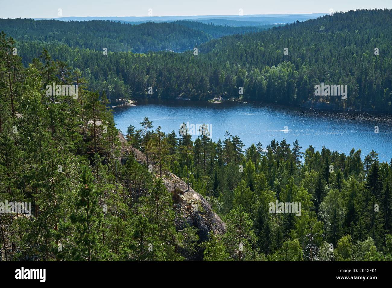 A beautiful view of a lake surrounded by green trees in a forest Stock ...