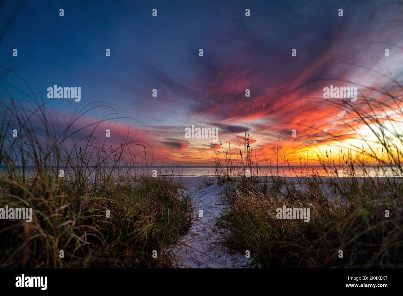 A sandy road with grass leading to the beach during orange sunset Stock ...