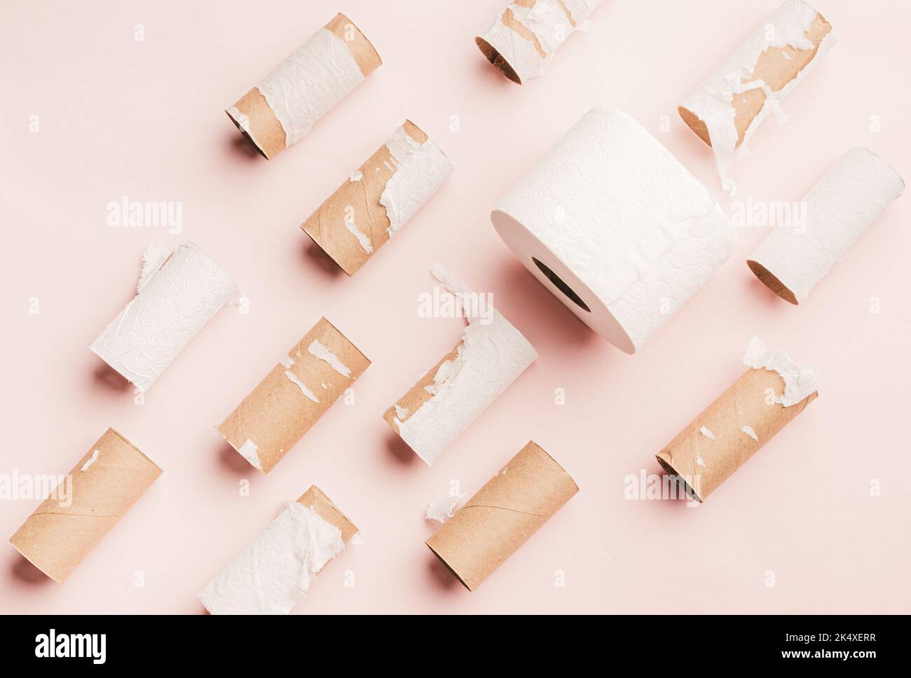 A single full roll of toilet paper surrounded by many empty rolls ...