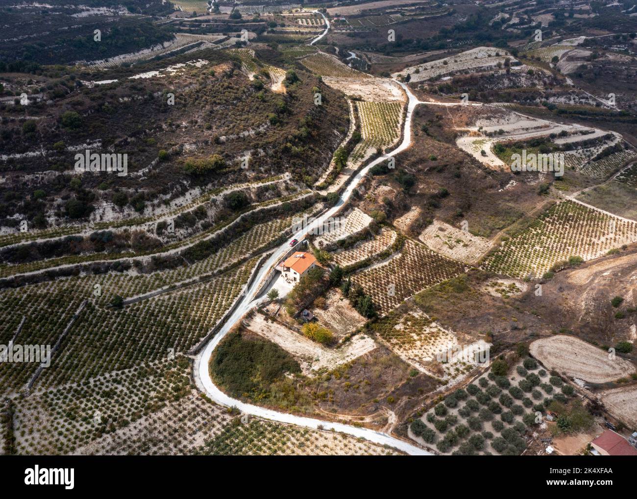 Aerial view of terraced vineyards between Kissousa and Vasa, Limassol ...