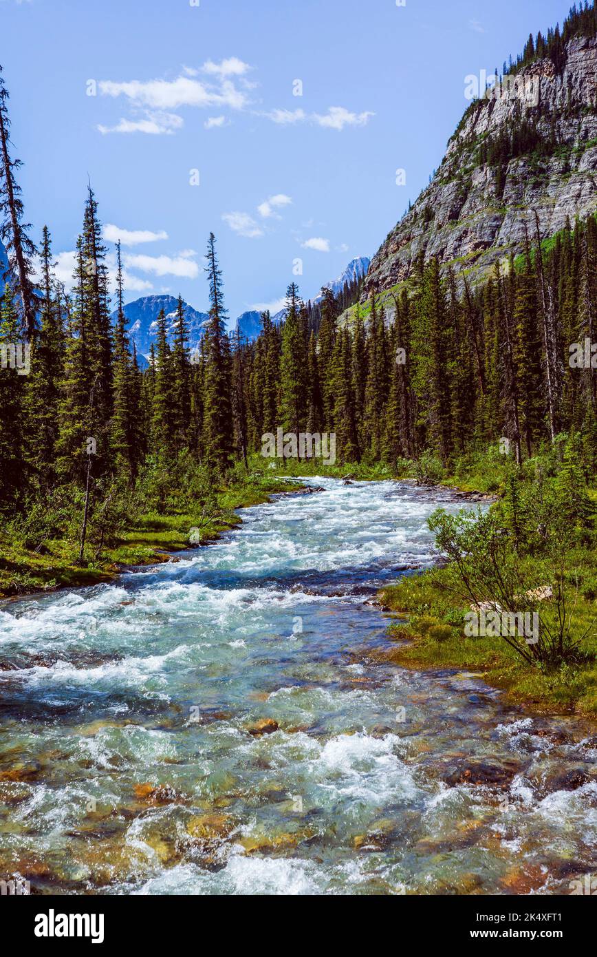 Hiking to Lake Annette in Banff National Park, passing forests and ...