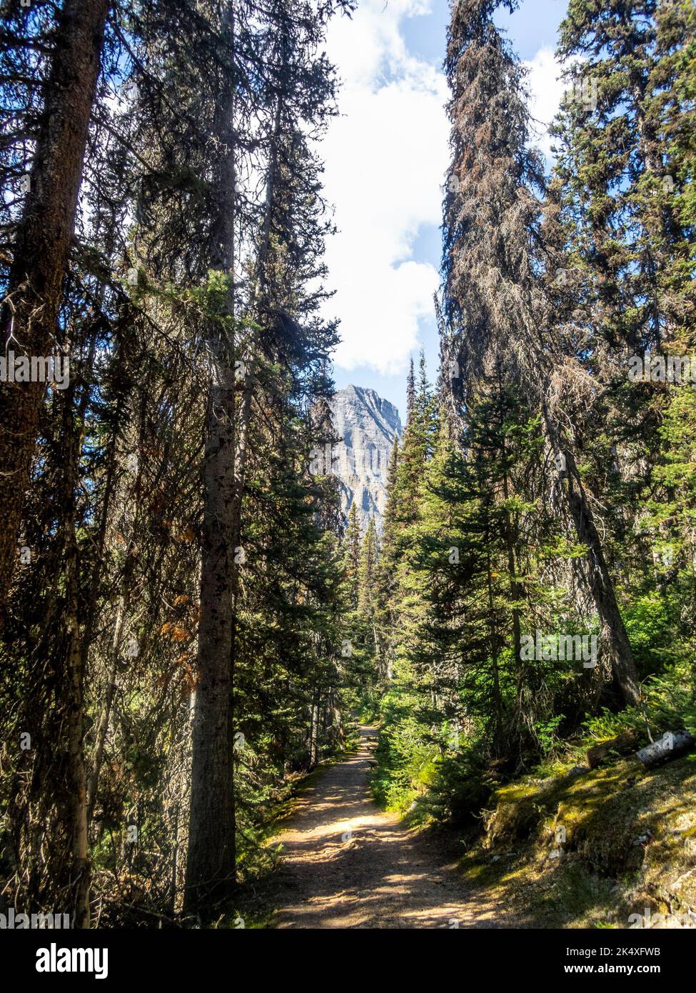 Hiking to Lake Annette in Banff National Park, passing forests and ...