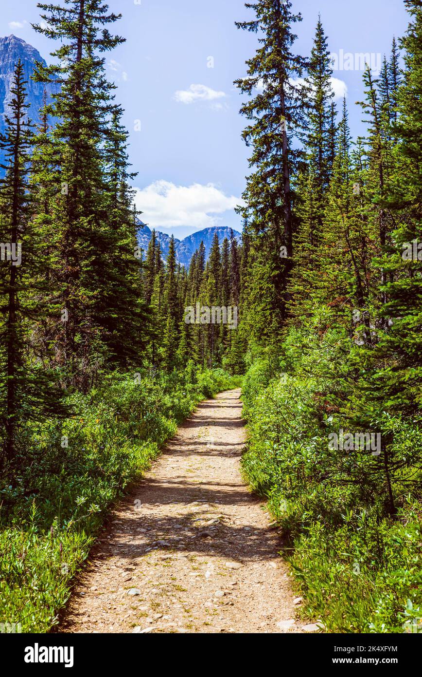 Hiking to Lake Annette in Banff National Park, passing forests and ...