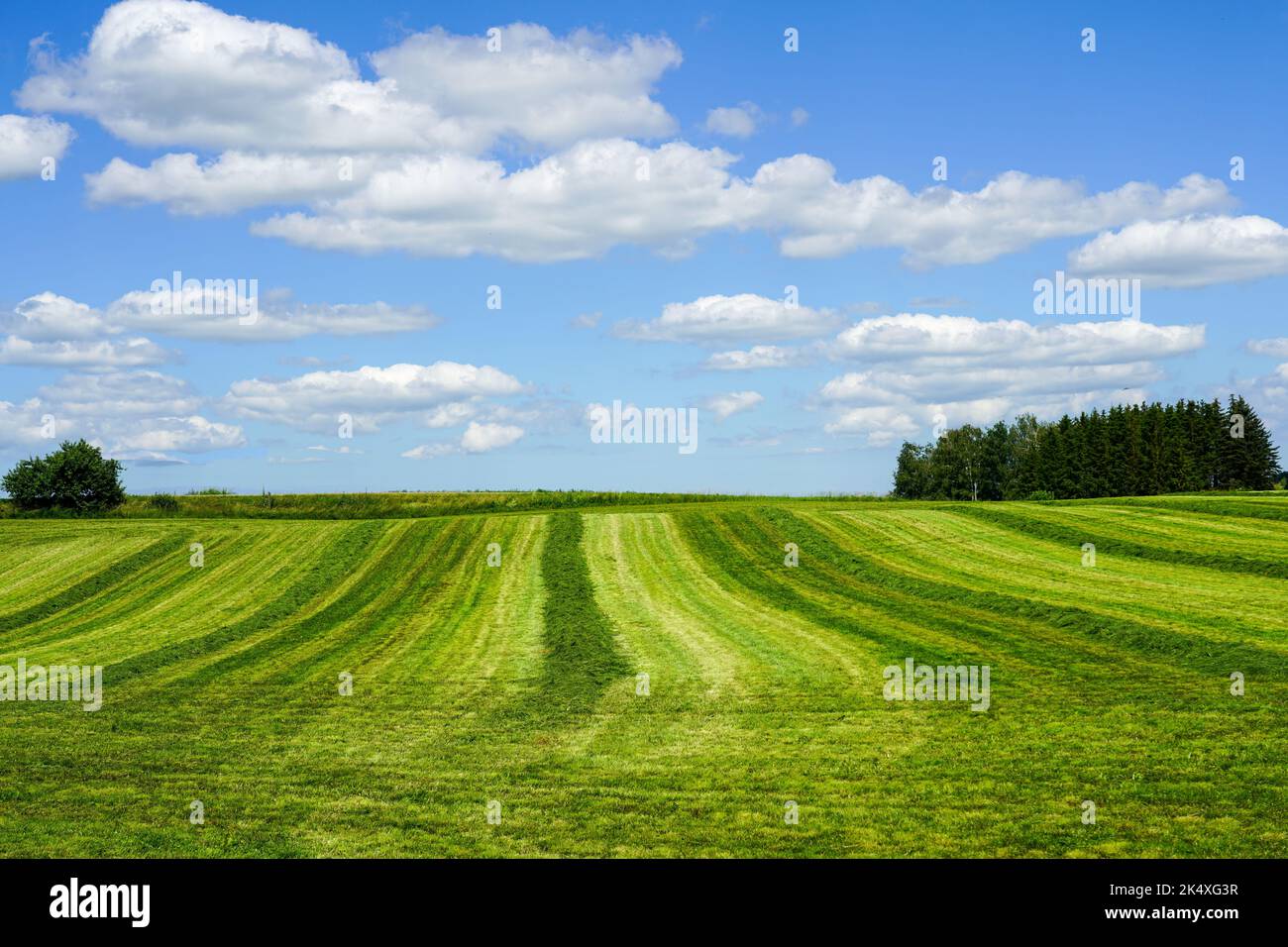 Mowed grassy open field hi-res stock photography and images - Alamy