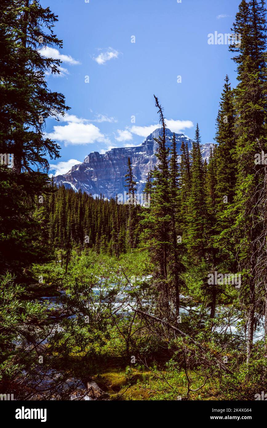 Hiking to Lake Annette in Banff National Park, passing forests and ...