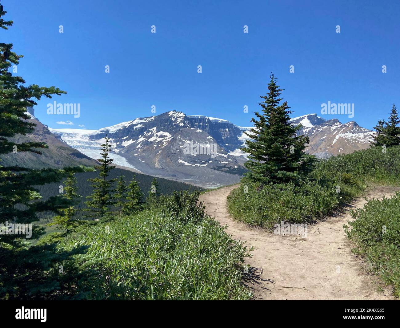 Hiking to Wilcox Pass in Jasper National Park with views of the ...
