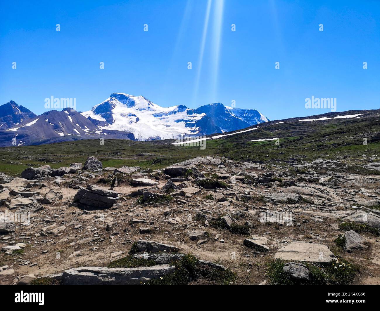 Hiking to Wilcox Pass in Jasper National Park with views of the ...