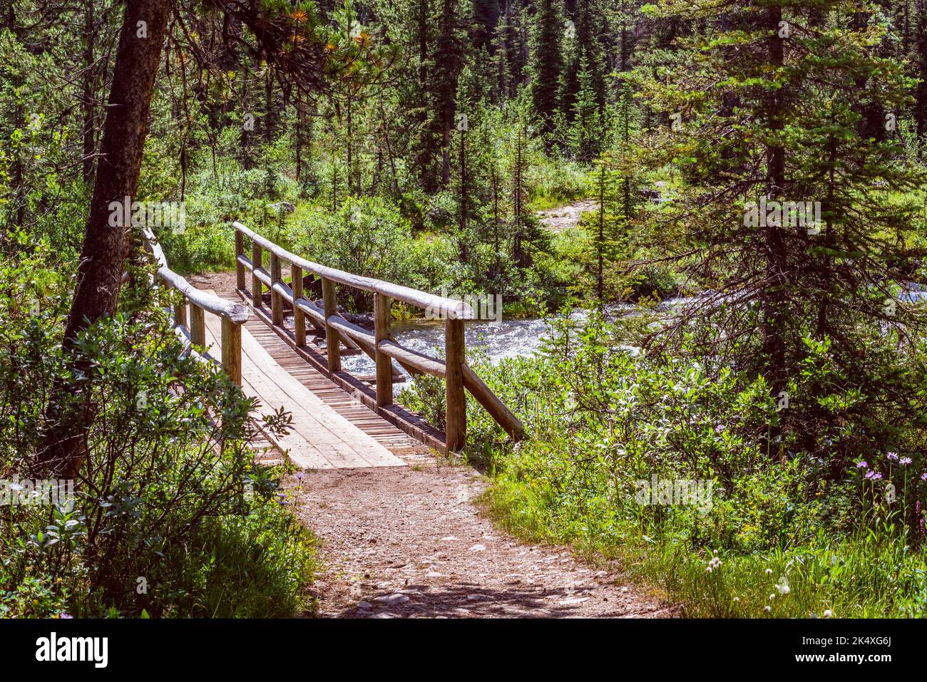 A wooden bridge on the hike to Lake Annette in Banff National Park ...
