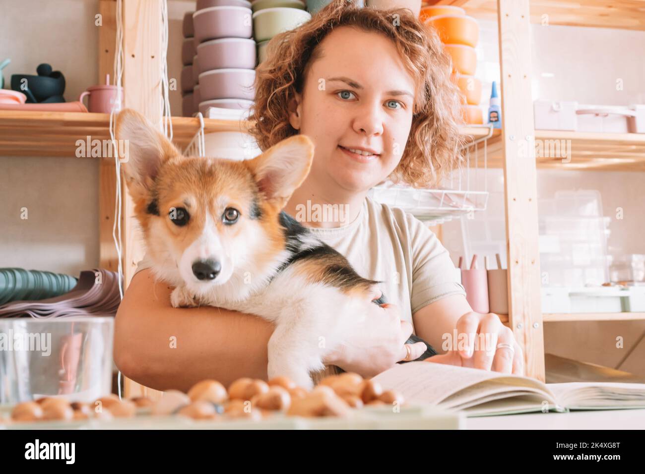 Curly haired glad, cheerful businesswoman, owner with dog corgi sitting ...