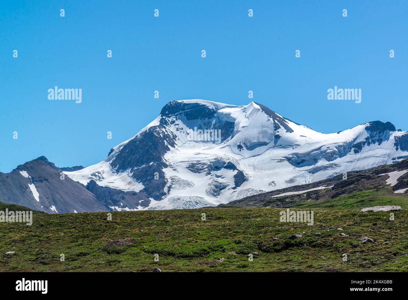 Hiking to Wilcox Pass in Jasper National Park with views of the ...
