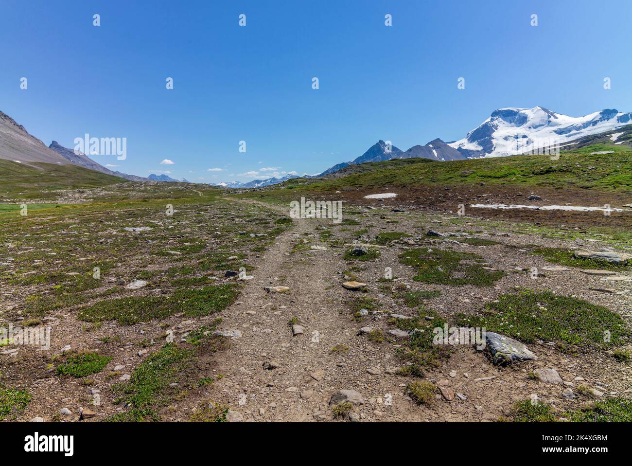 Hiking to Wilcox Pass in Jasper National Park with views of the ...