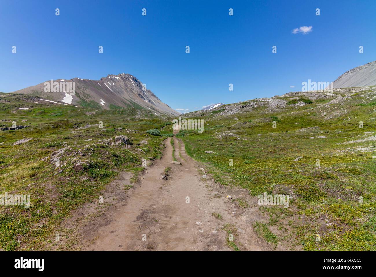 Hiking to Wilcox Pass in Jasper National Park with views of the ...