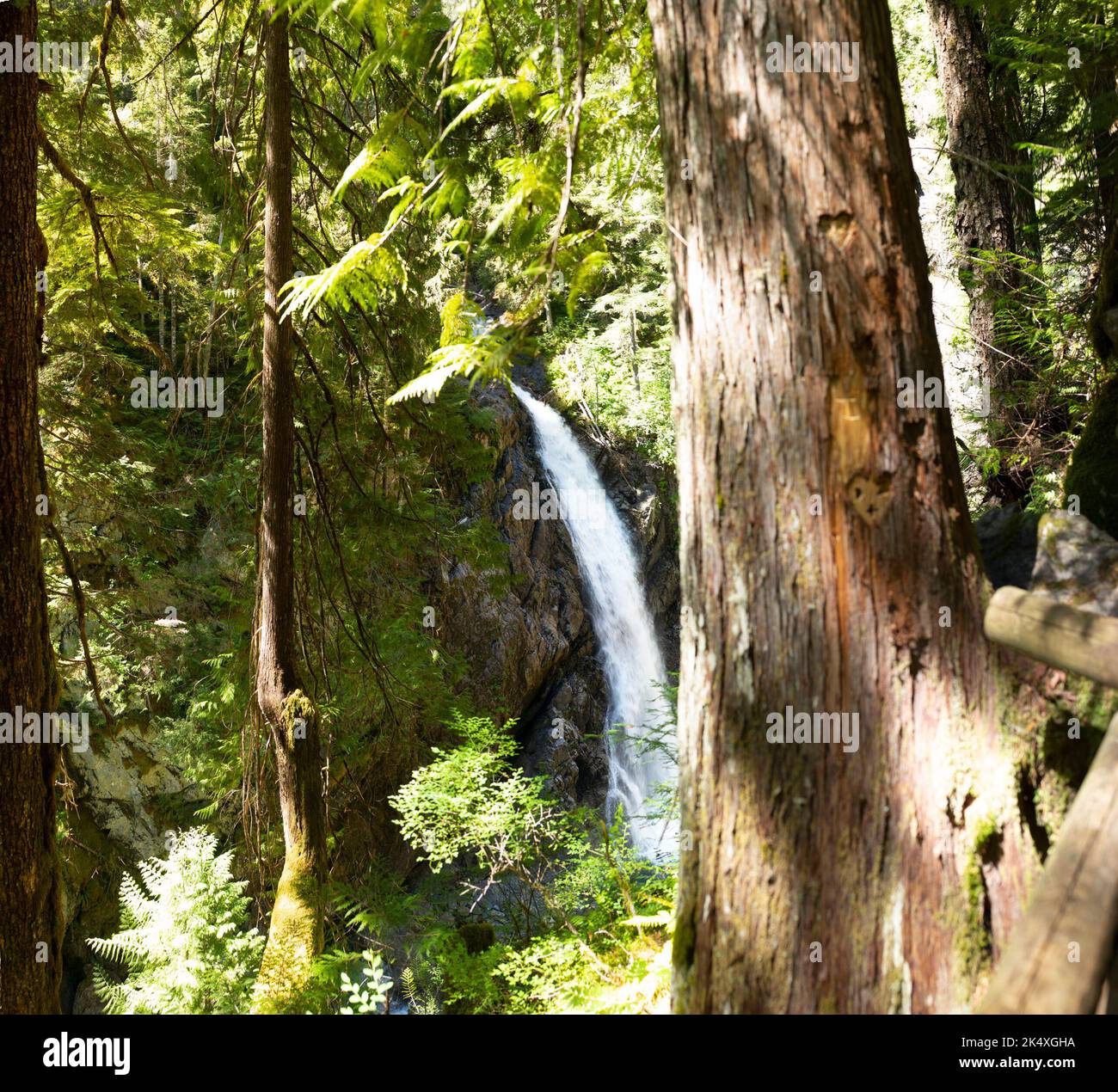 Hiking to the Upper Myra Falls in Strathcona Provincial Park on ...