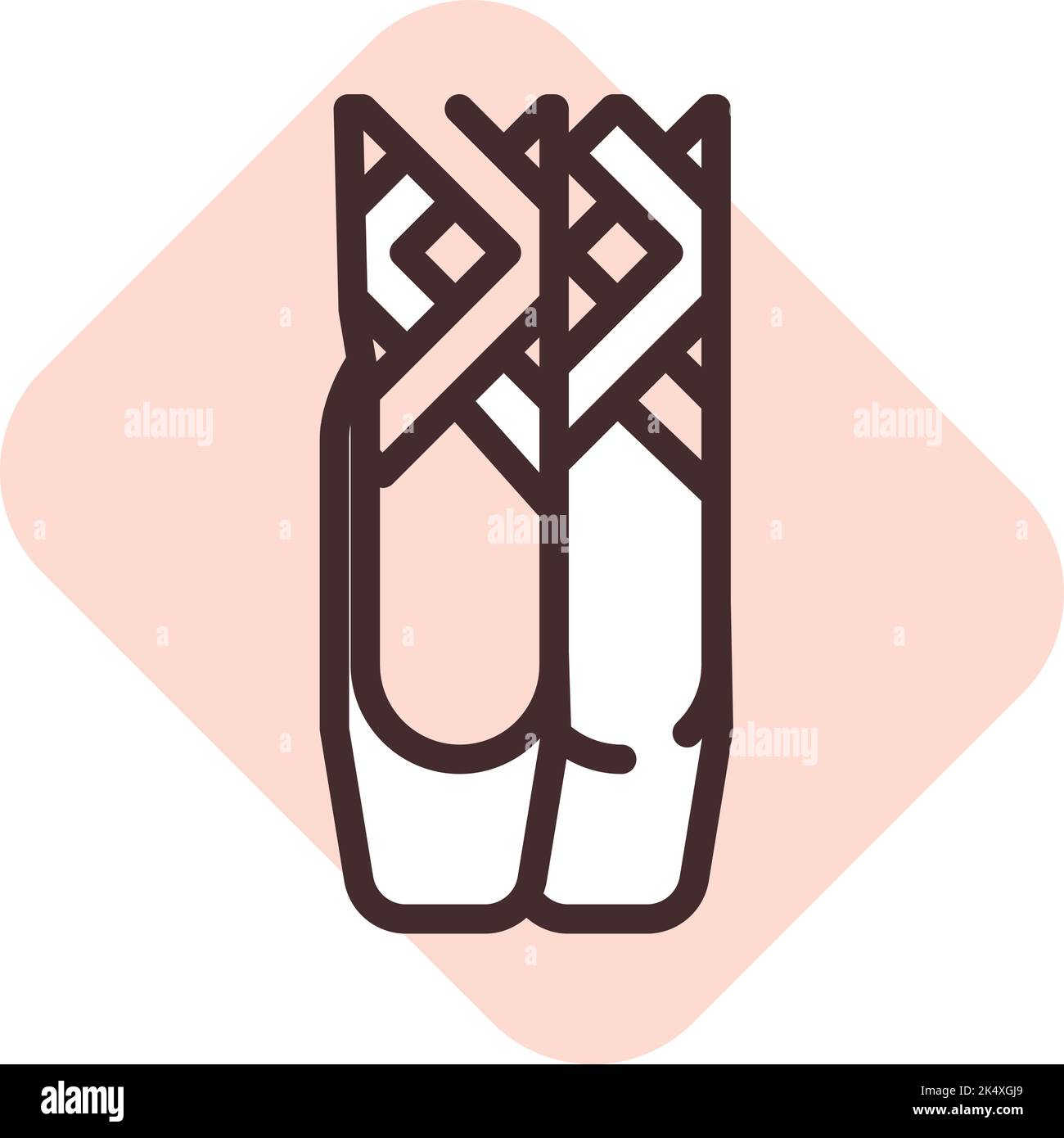 Ballet shoes, illustration, vector on a white background Stock Vector ...