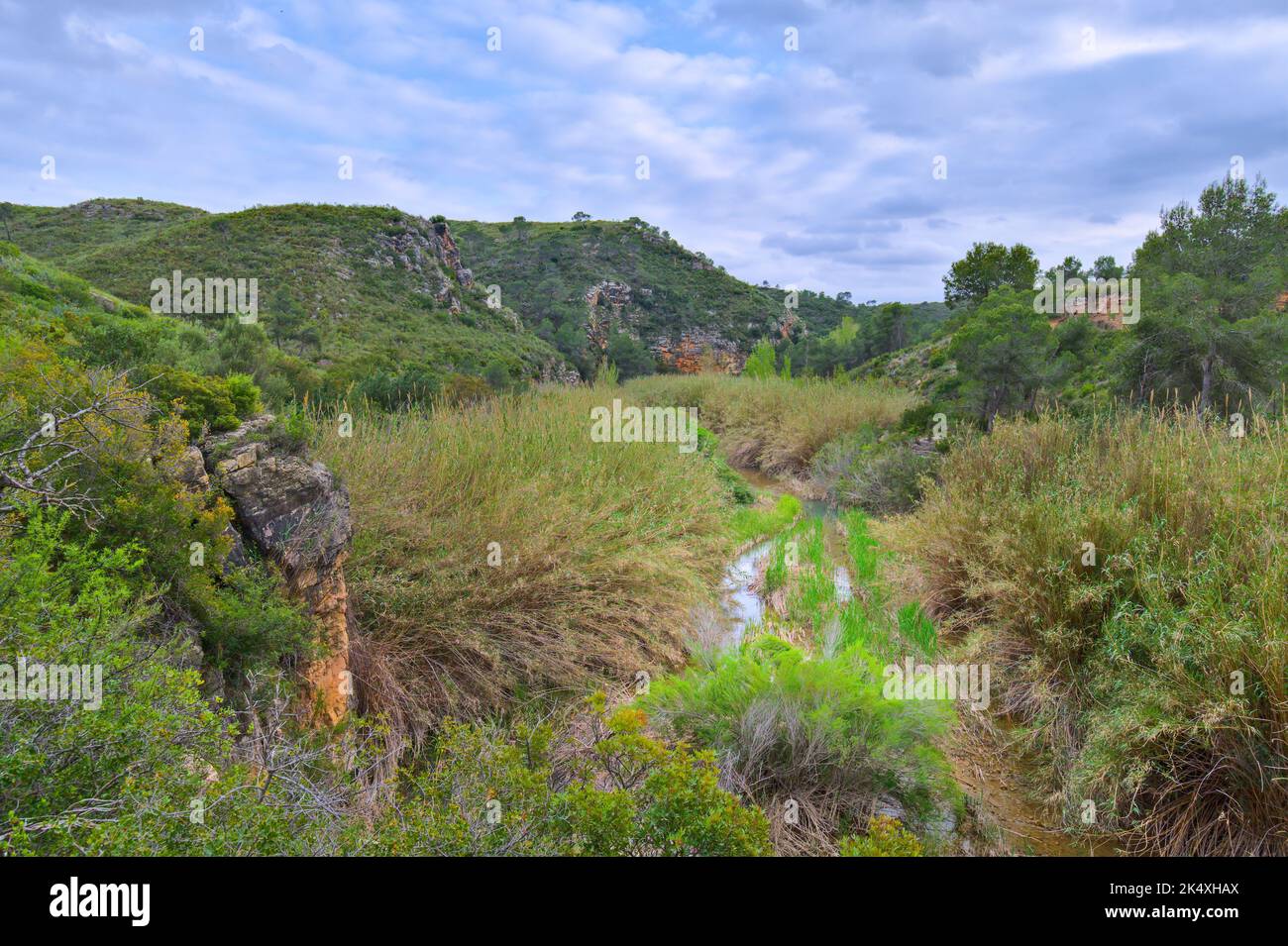 Green Spanish nature landscape. Blue sky. Beautiful nature landscape ...