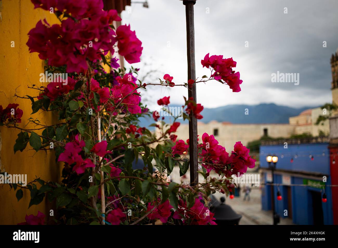 Historic oaxaca streets hi-res stock photography and images - Alamy