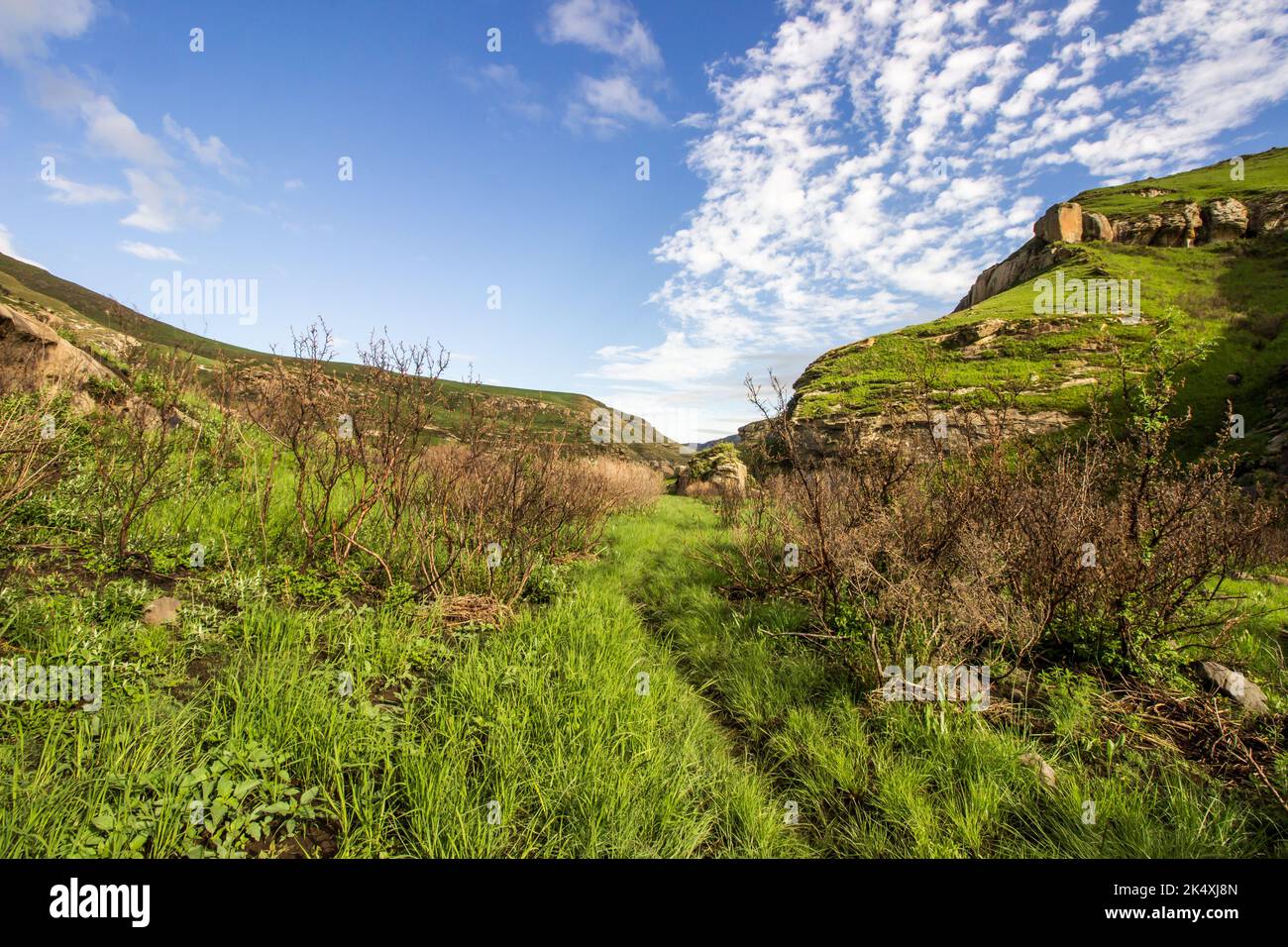 A small overgrown Hiking trail in the Drakensberg Mountains of the ...