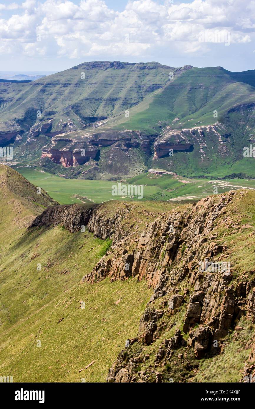 View along a Dolerite ridge, cutting through the Afro alpine grasslands ...