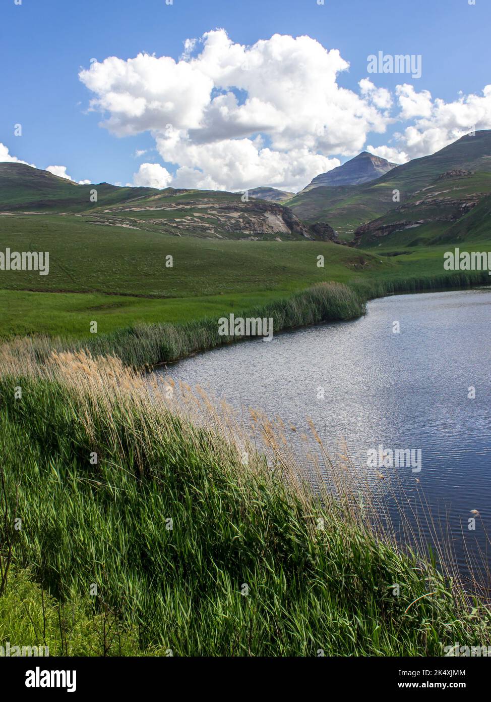 On the shoreline of the Langtoon Dam, a small lake, nestled between the ...