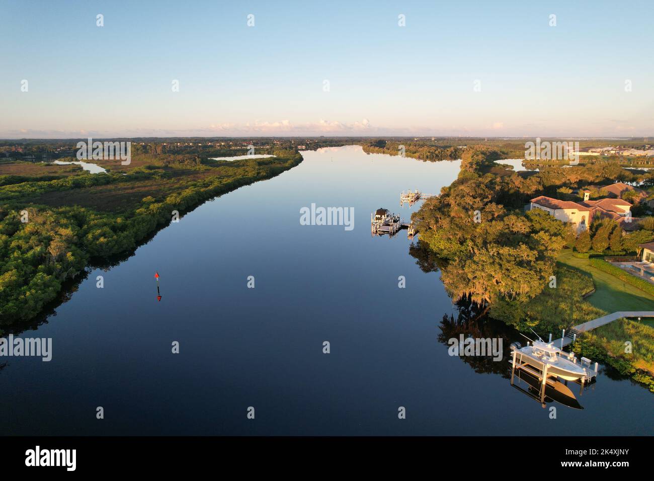 The view of trees on the coasts of Manatee River under the blue sky ...