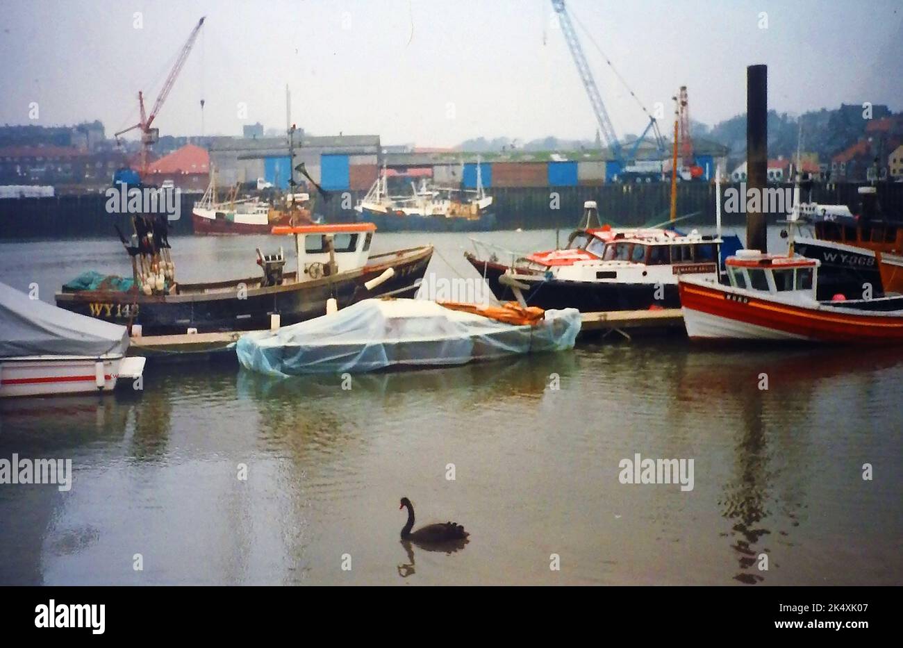 The black swan whitby hi-res stock photography and images - Alamy