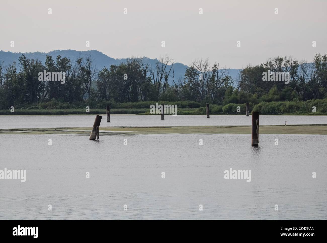 A view of wooden columns in the Mississippi river before the plants on ...