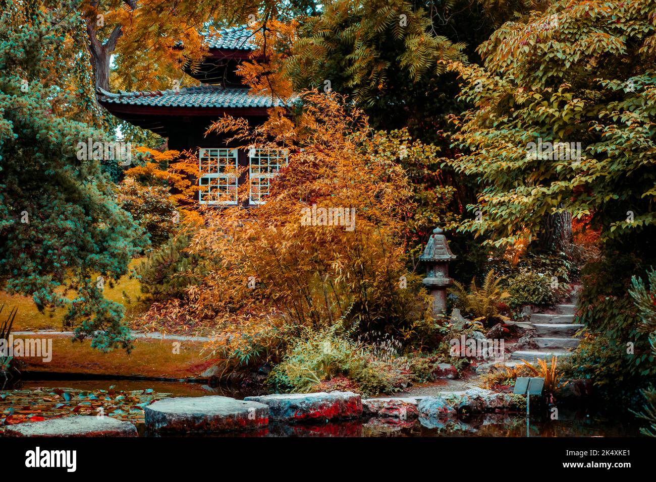 Colorful autumn landscape in the Japanese Garden in Leverkusen Stock ...