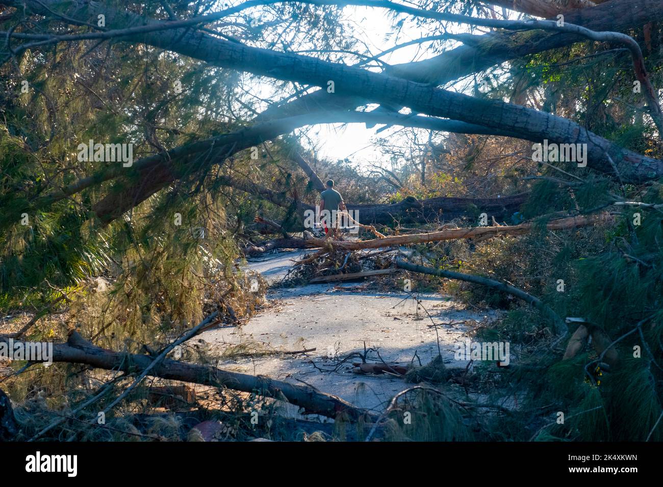 Members of the 202nd Rapid Engineer Deployable Heavy Operational Repair ...