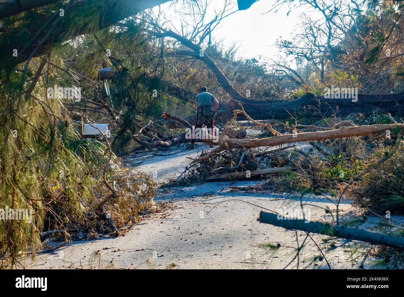 Members of the 202nd Rapid Engineer Deployable Heavy Operational Repair ...