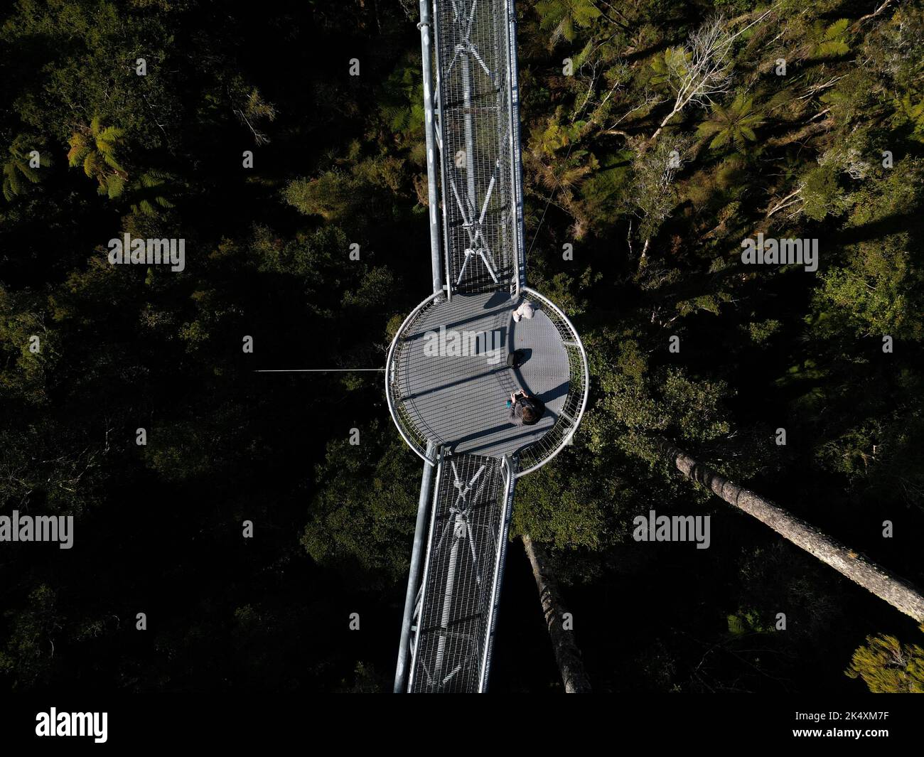 A top view of a tree top walk on a beautiful natural background Stock ...