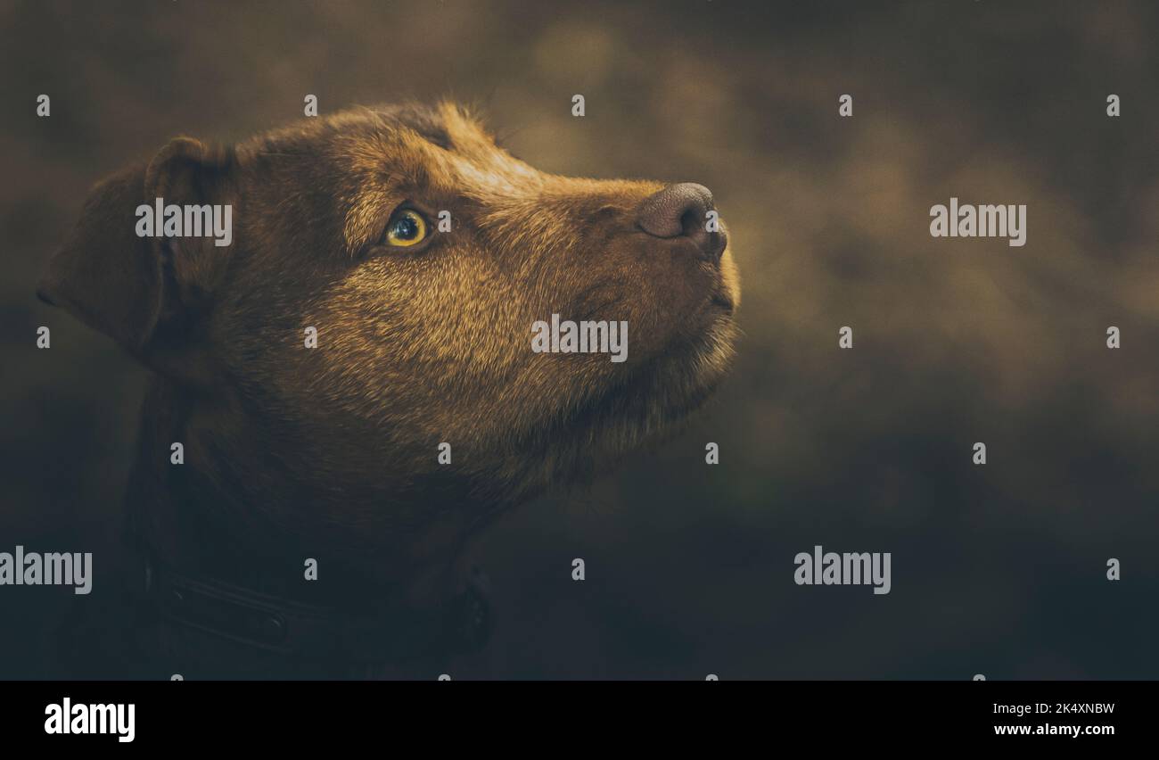 Artistic gaze hi-res stock photography and images - Alamy
