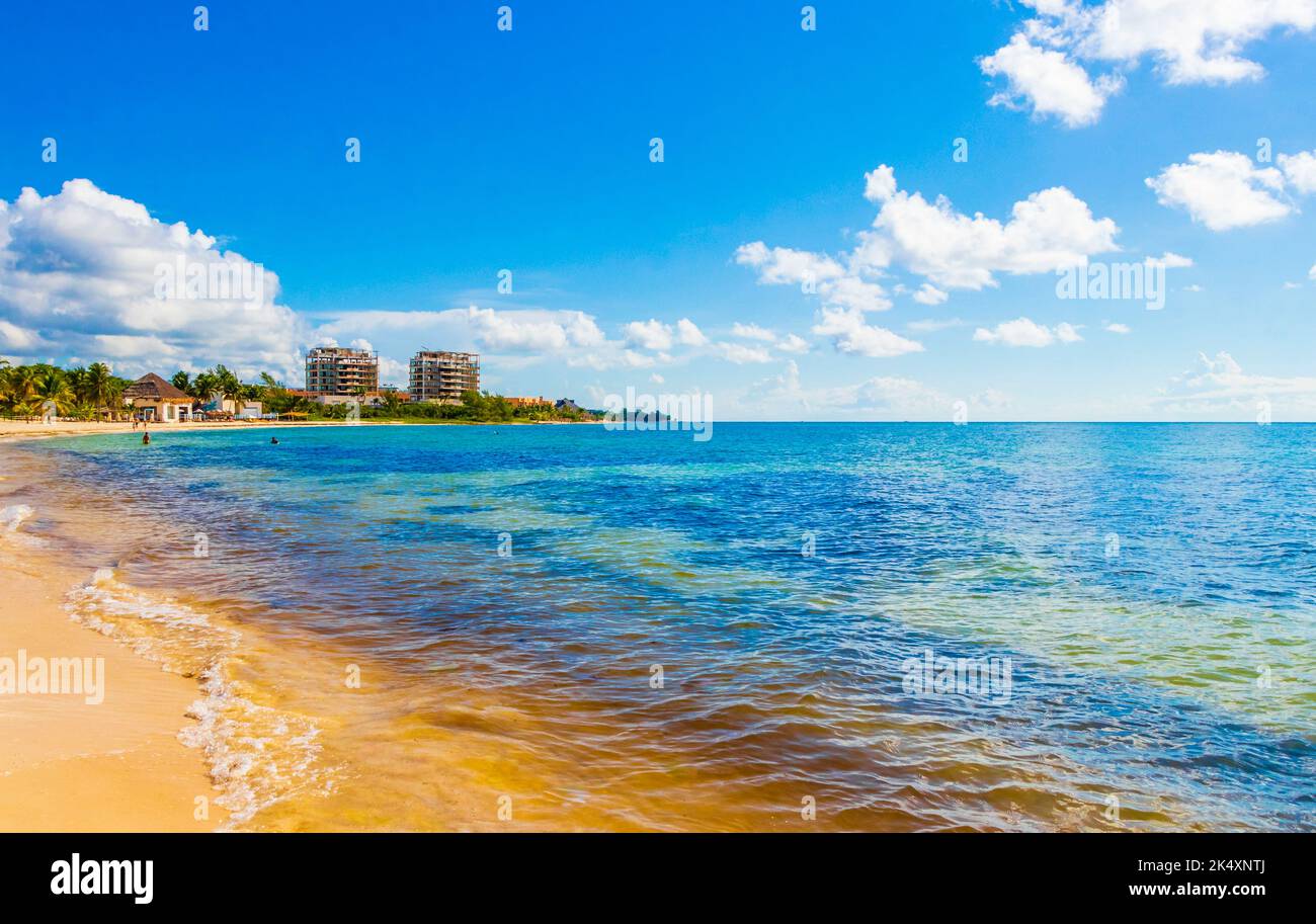 Tropical mexican beach landscape panorama and caribbean sea with clear ...