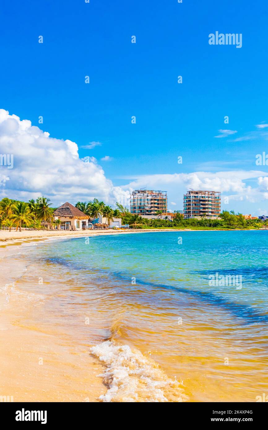 Tropical mexican beach landscape panorama and caribbean sea with clear ...