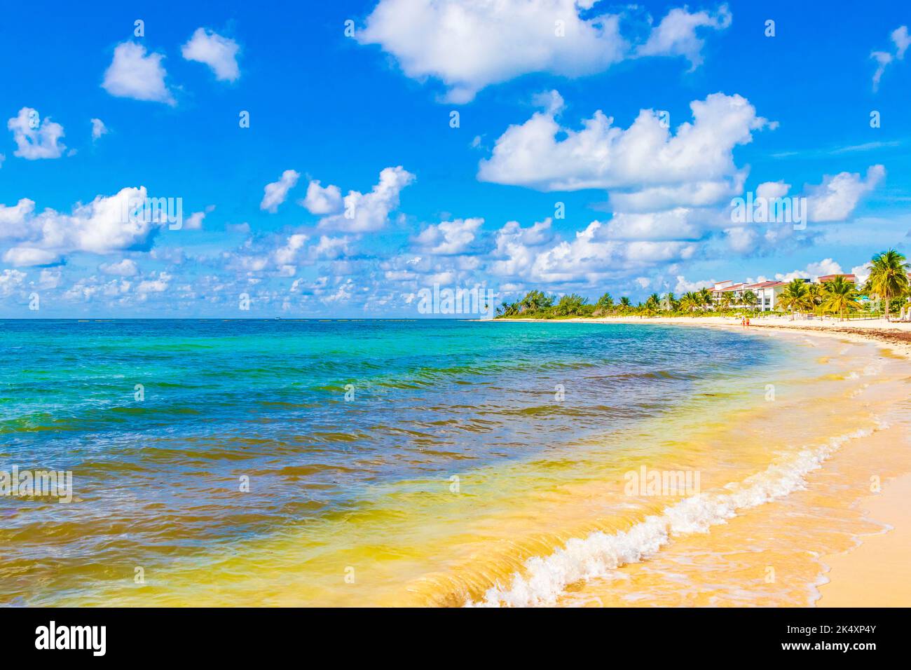 Tropical mexican beach landscape panorama and caribbean sea with clear ...