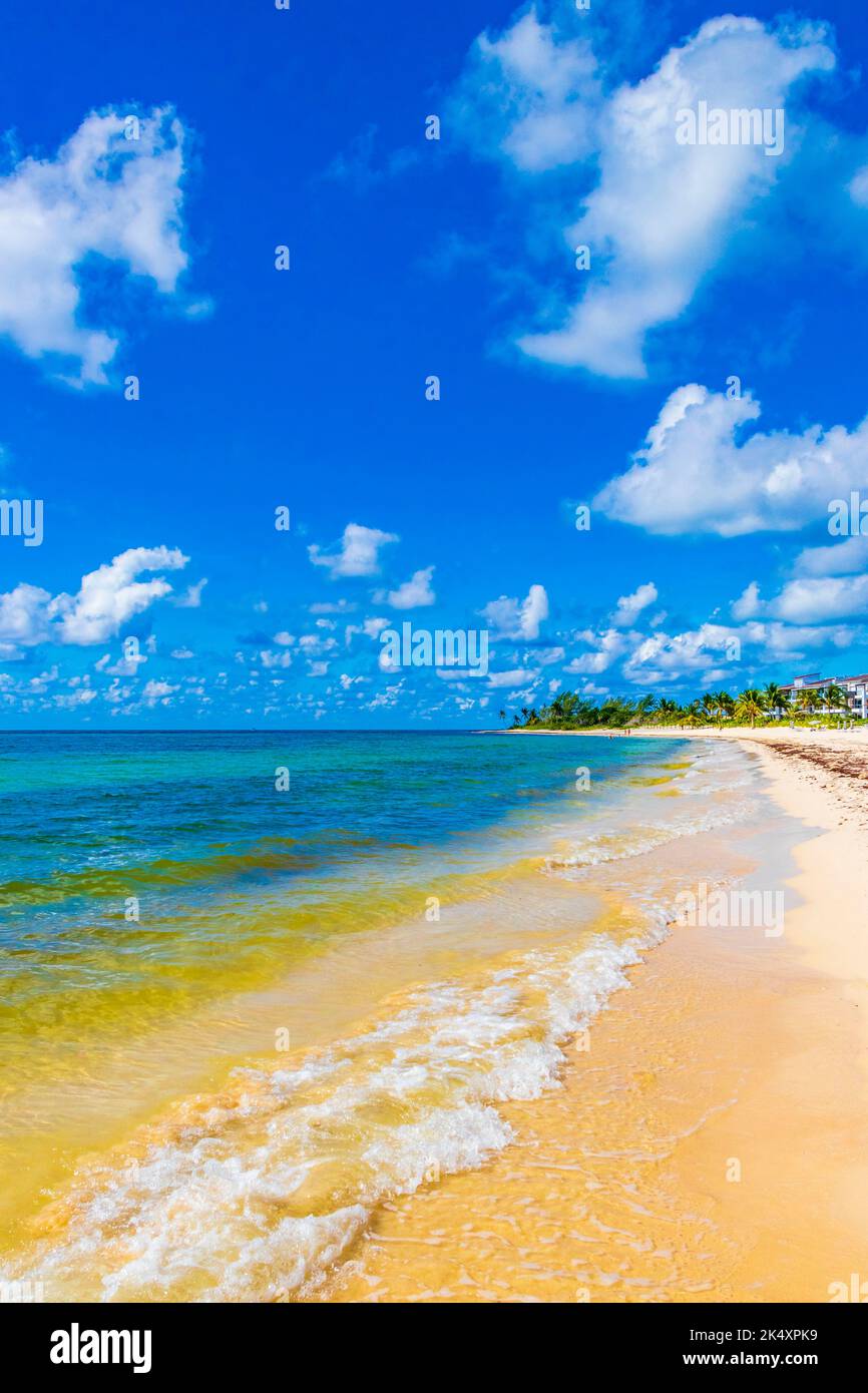 Tropical mexican beach landscape panorama and caribbean sea with clear ...