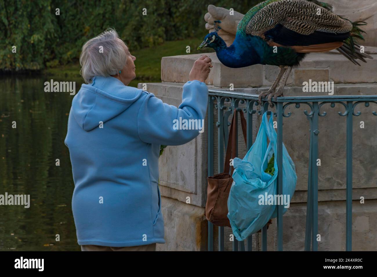 Autumn in Lazienki PArk, Jesien w Parku Lazienki Stock Photo - Alamy