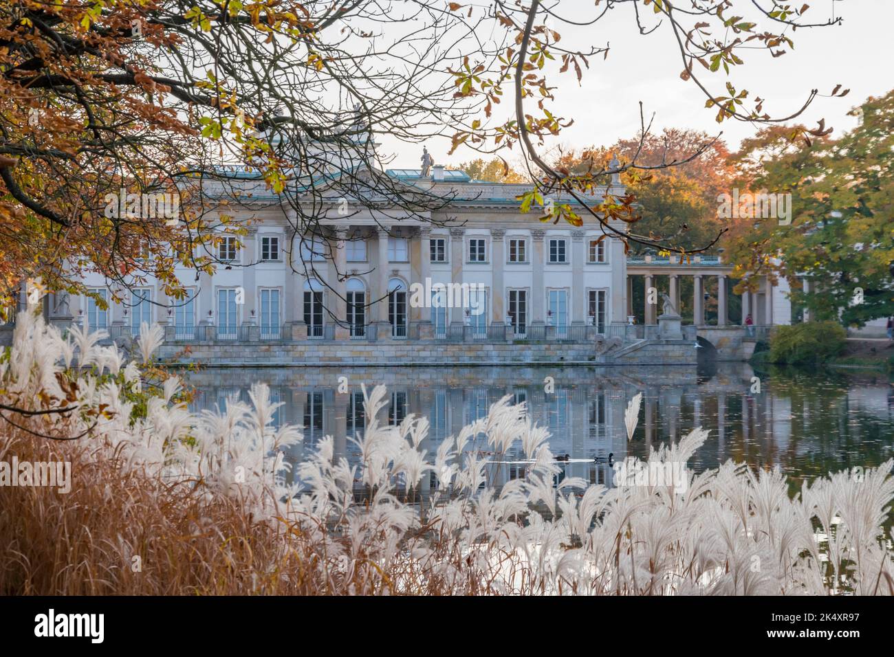 Autumn in Lazienki PArk, Jesien w Parku Lazienki Stock Photo - Alamy
