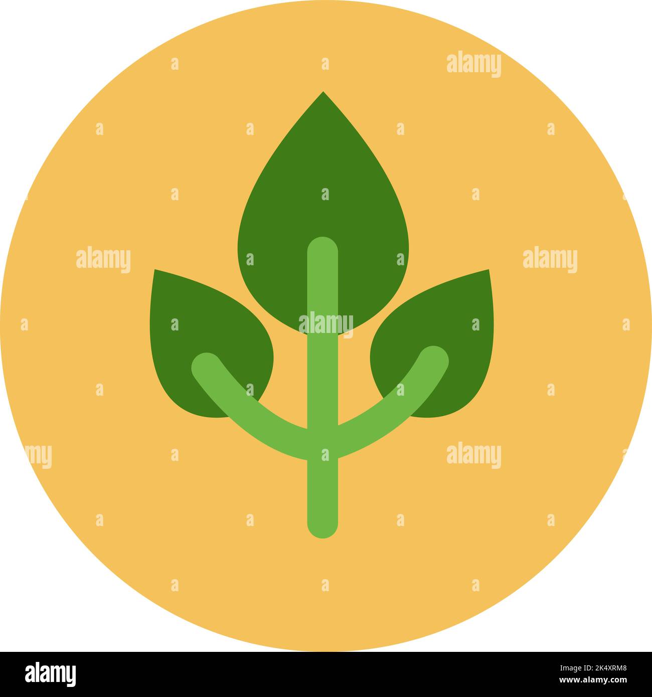 Plant based food on white Stock Vector Images - Alamy