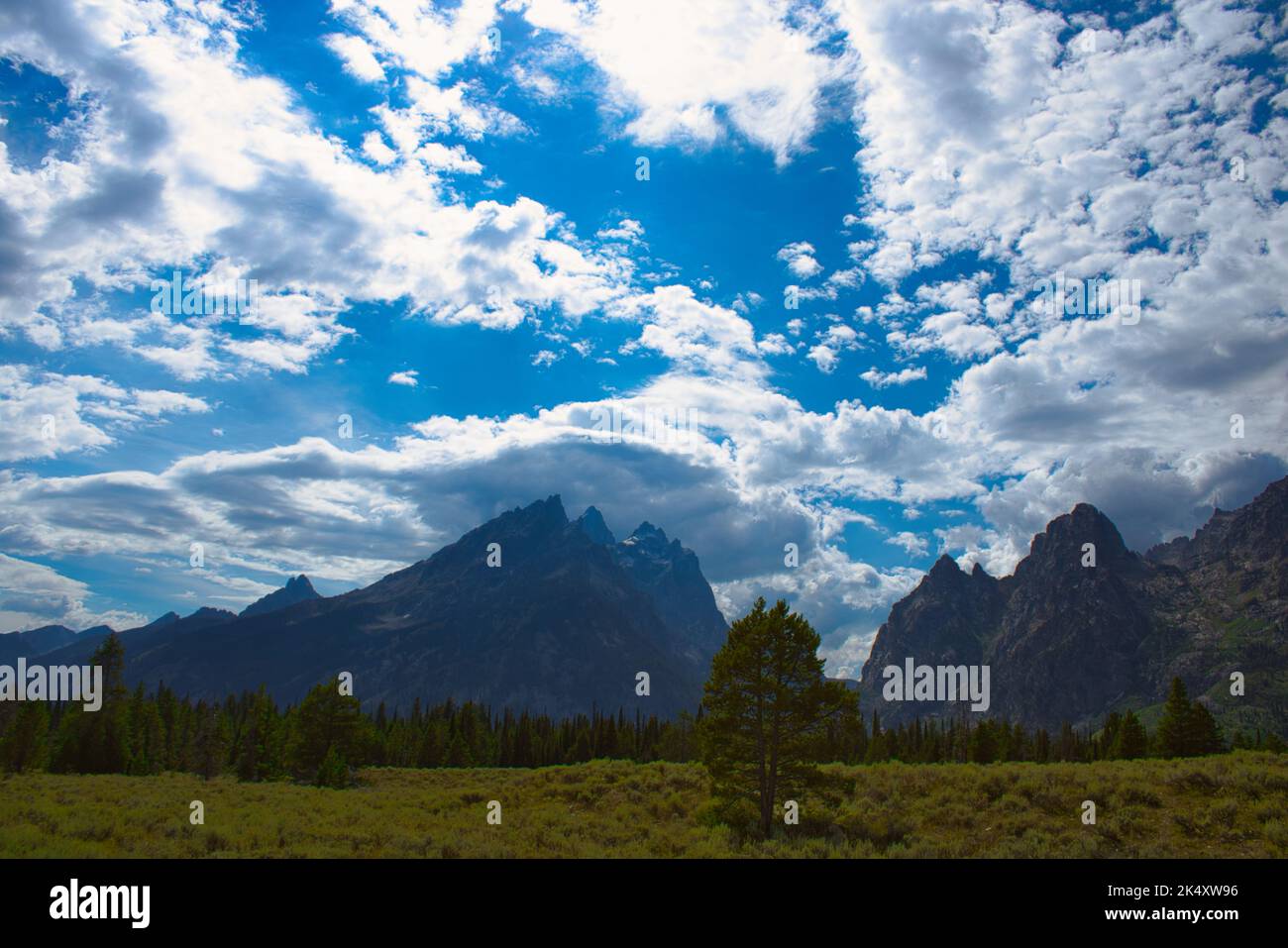 Summer afternoon landscape of a meadow of trees with the Cathedral ...