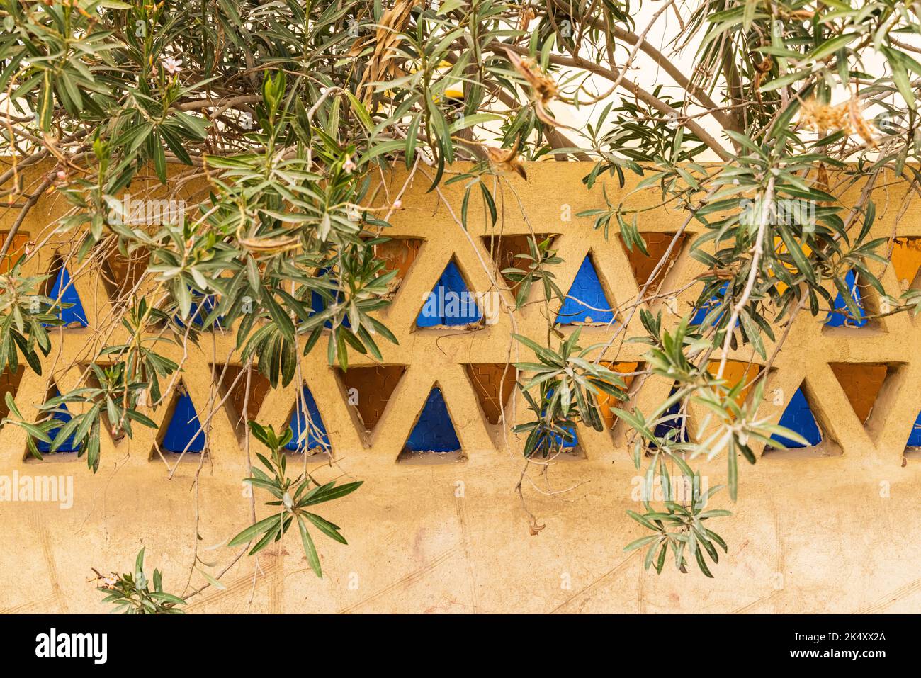 Faiyum, Egypt. Masonary wall and green leafy branches Stock Photo - Alamy