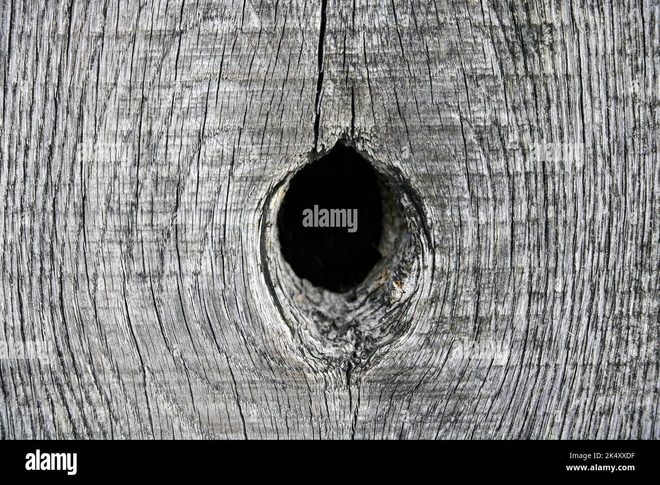 A small hole in place of the bitch of the gray board Stock Photo - Alamy