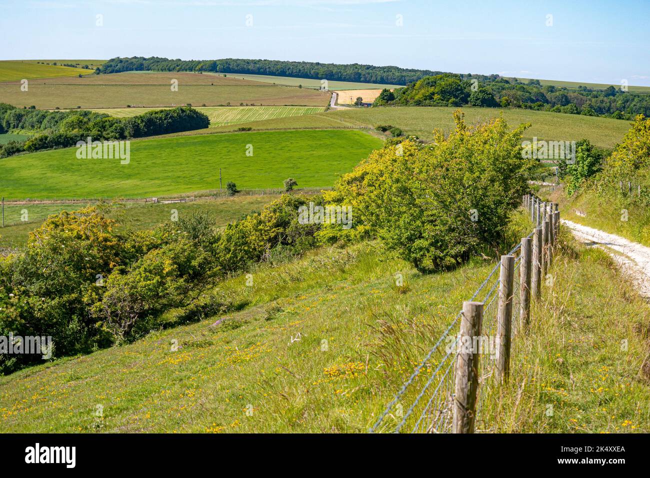 South Downs view featuring a chalk track/footpath that heads north ...