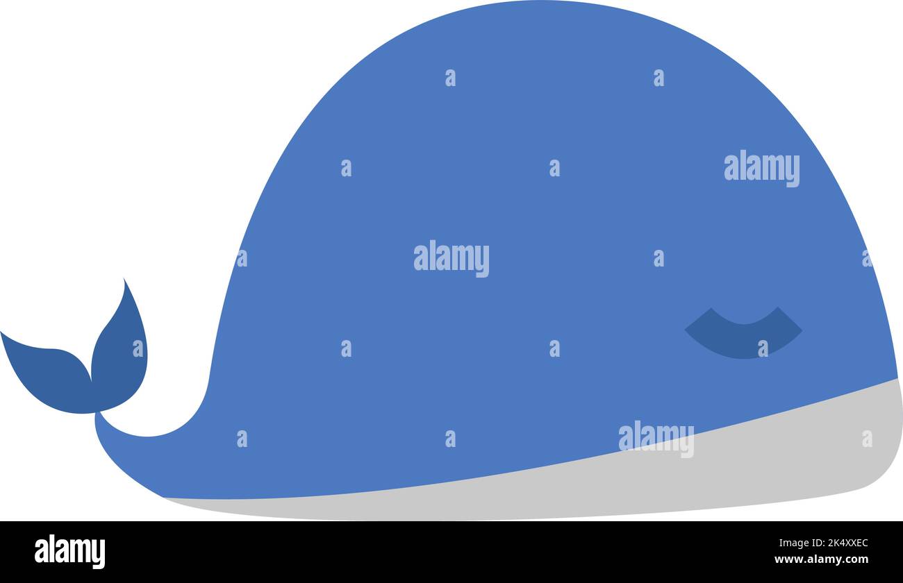 Blue sea whale, illustration, vector on a white background Stock Vector ...