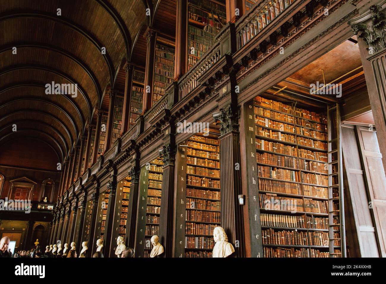 A beautiful interior of a huge old library with white busts of famous ...