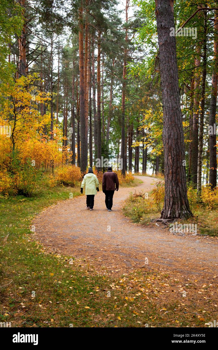 Unrecognized people walking in the forest in Autumn season. Trees with ...