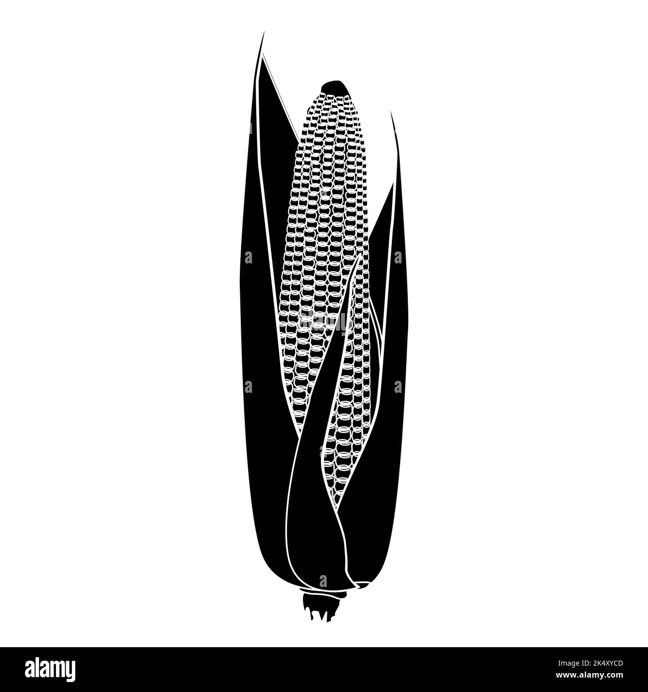 Silhouette corn cob with grains and leaves isolated on white background ...