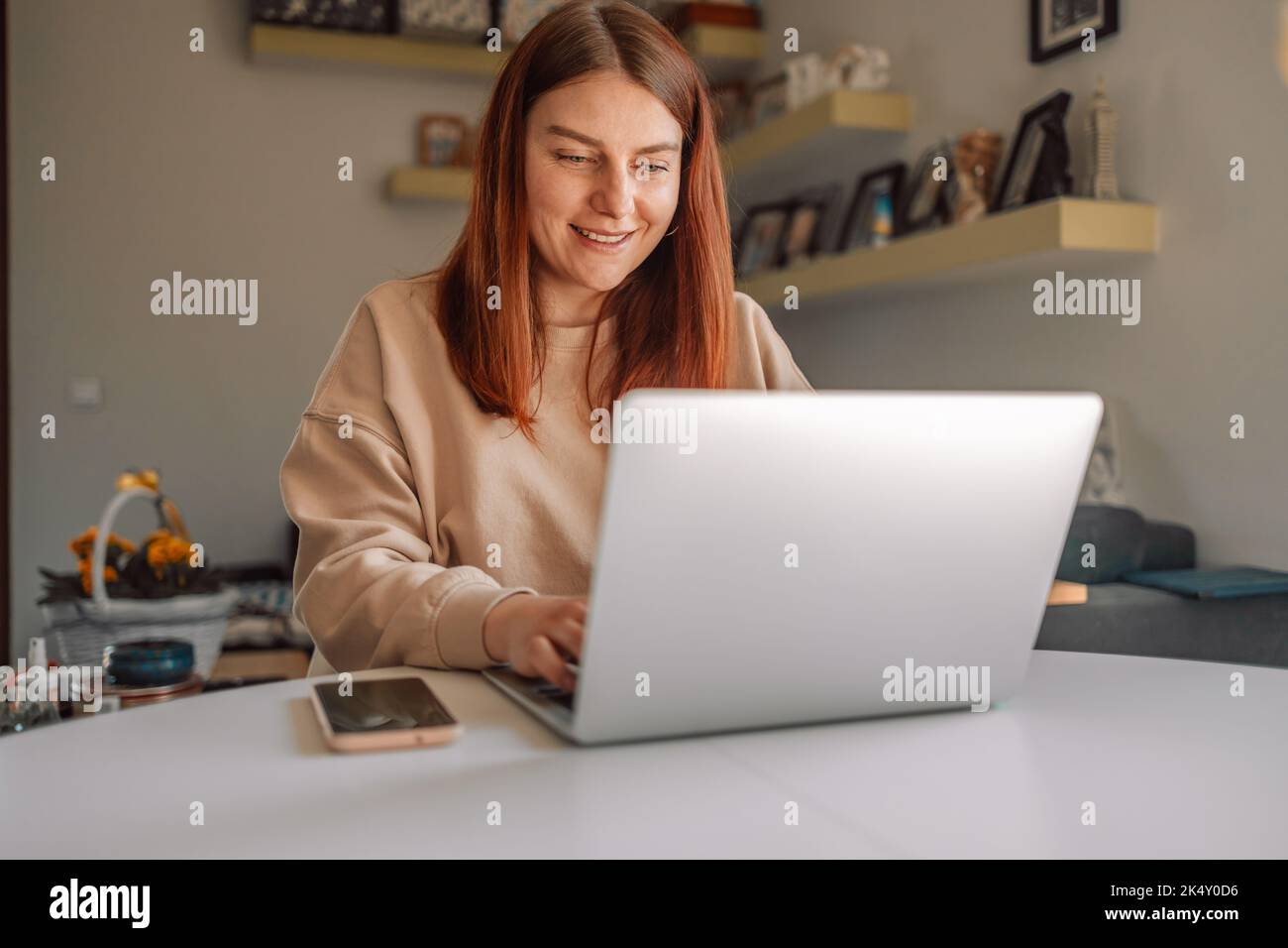Freelancer Lifestyle Remote Job Virtual Office Image Of Young Cheery