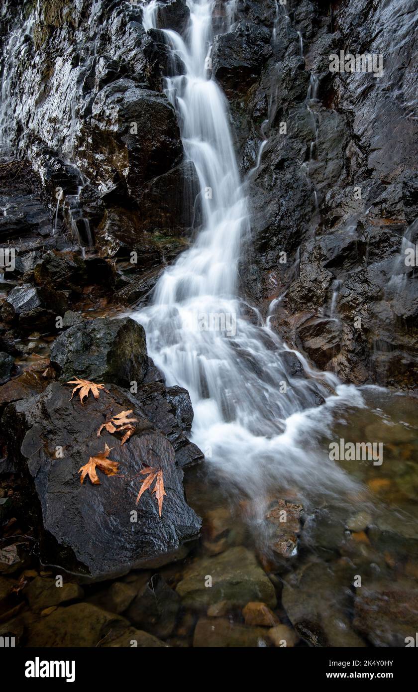 Waterfall with falling water small lake and yellow leaves rock in ...
